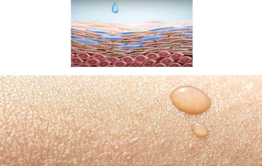 Bellahut PENTAVITIN™ by DSM With Saccharide Isomerate